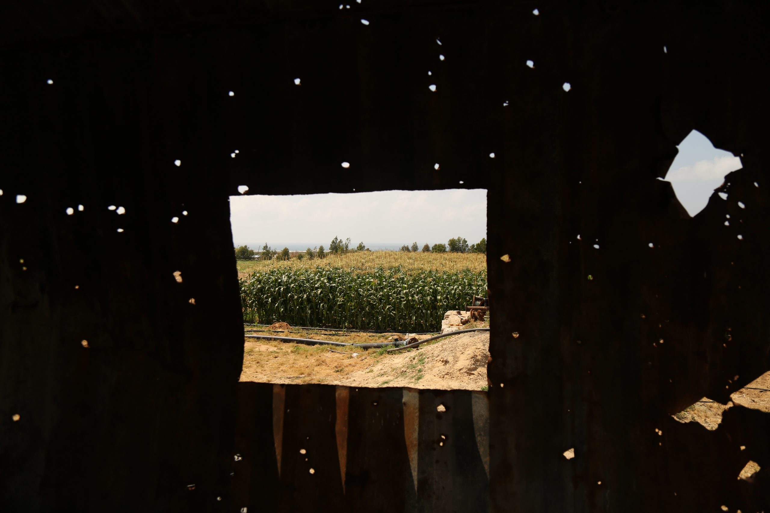 Let the Pictures Tell the Story – Scottish Left Review